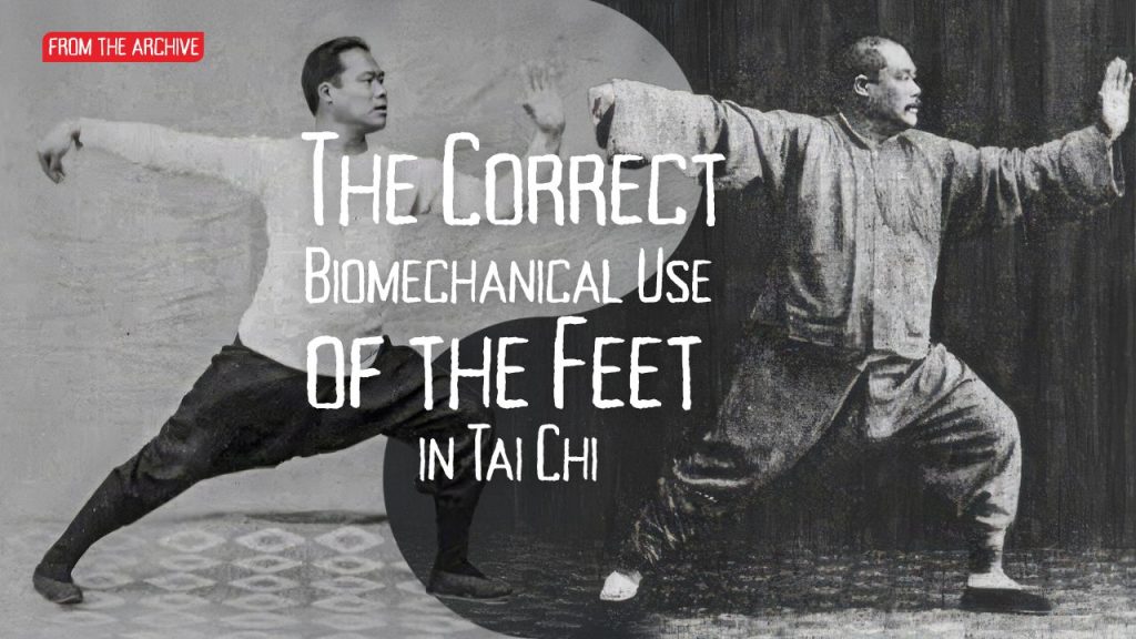 The Correct Biomechanical Use of the Feet & Knees | Part 2: Foot ...